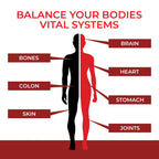 Nutrient-rich gel for vitality