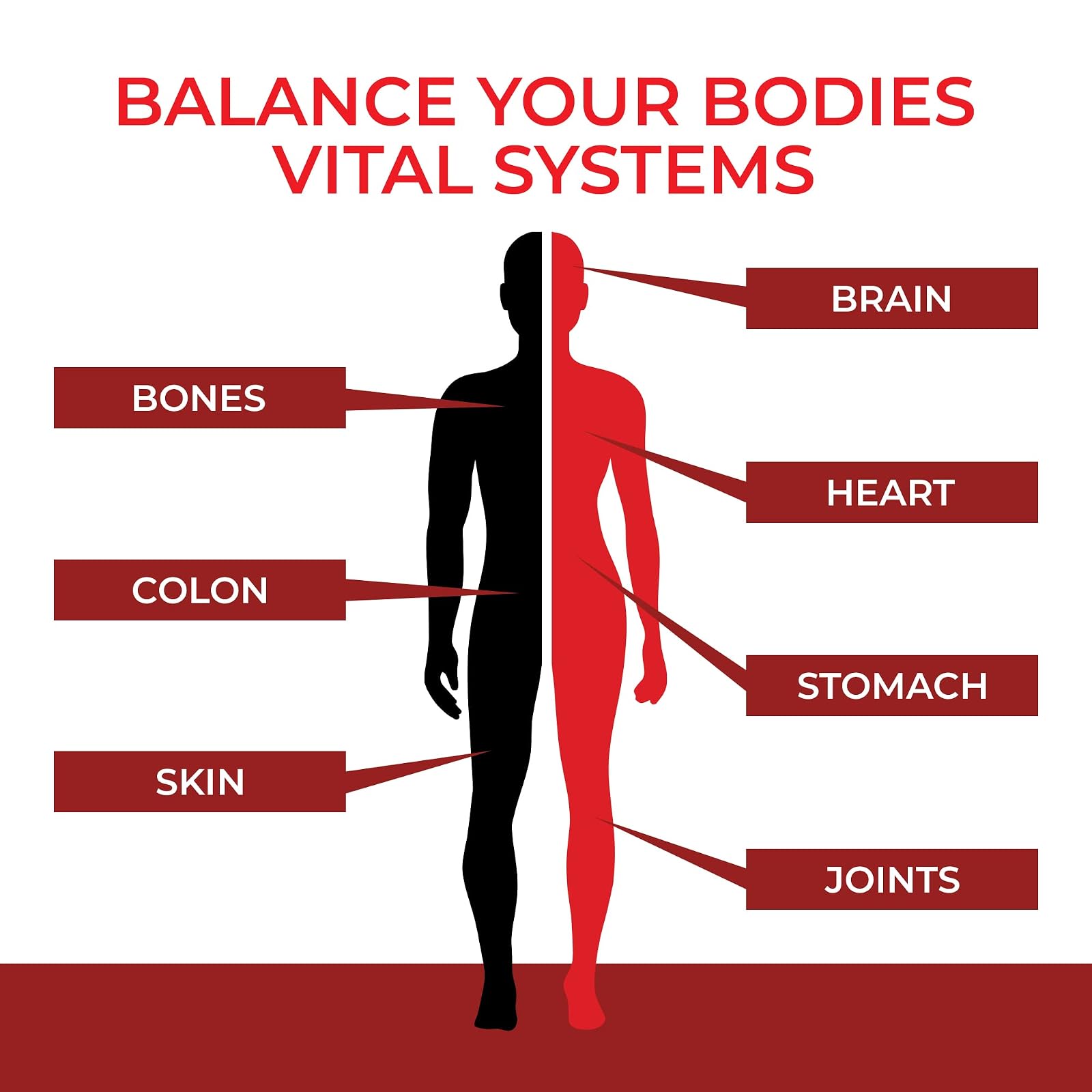 Nutrient-rich gel for vitality