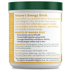 nutrient-rich Green Foods supplement