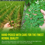 Nutrient-rich green tea extract