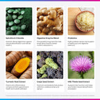 Nutrient-rich greens powders for seniors