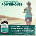 nutrient-rich greens powders supplement