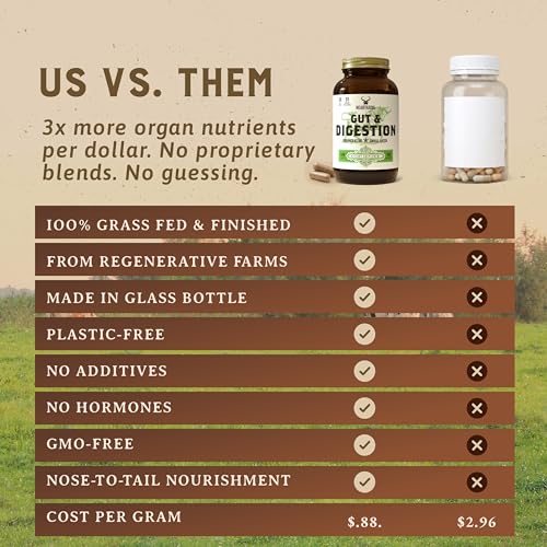 nutrient-rich gut health supplement