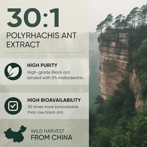 nutrient-rich health powder