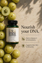 Nutrient-rich herbal supplement blend