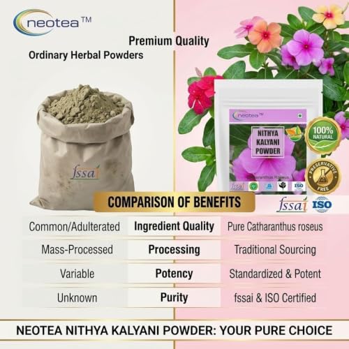 nutrient-rich herbal supplement powder
