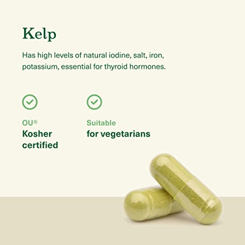 nutrient-rich kelp for vitality