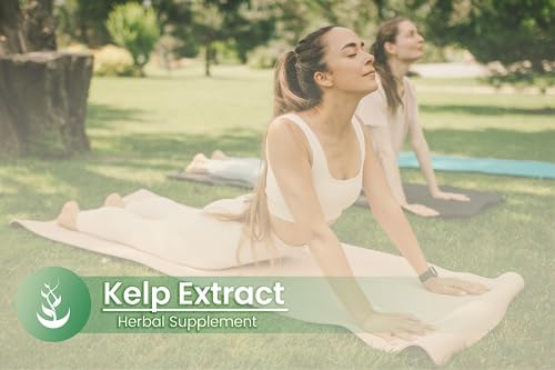 nutrient-rich kelp supplement