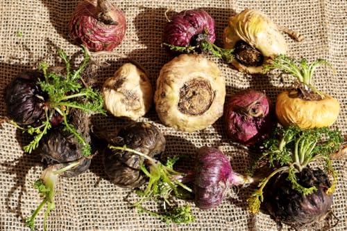 nutrient-rich kids multivitamin option