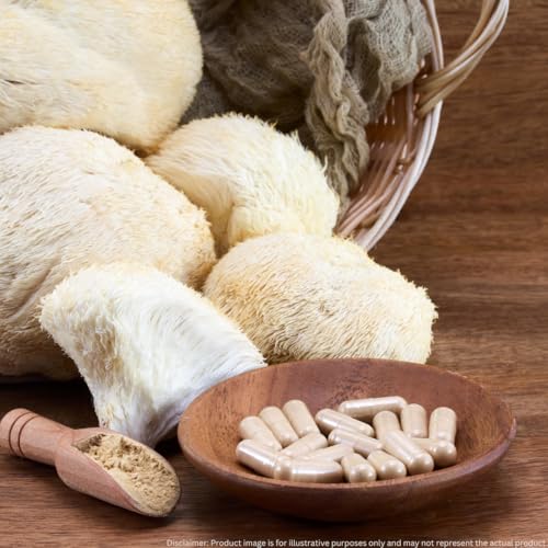 Nutrient-rich Lion's Mane mushroom capsules