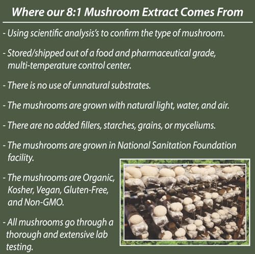 Nutrient-rich Lion's Mane mushrooms for vitality