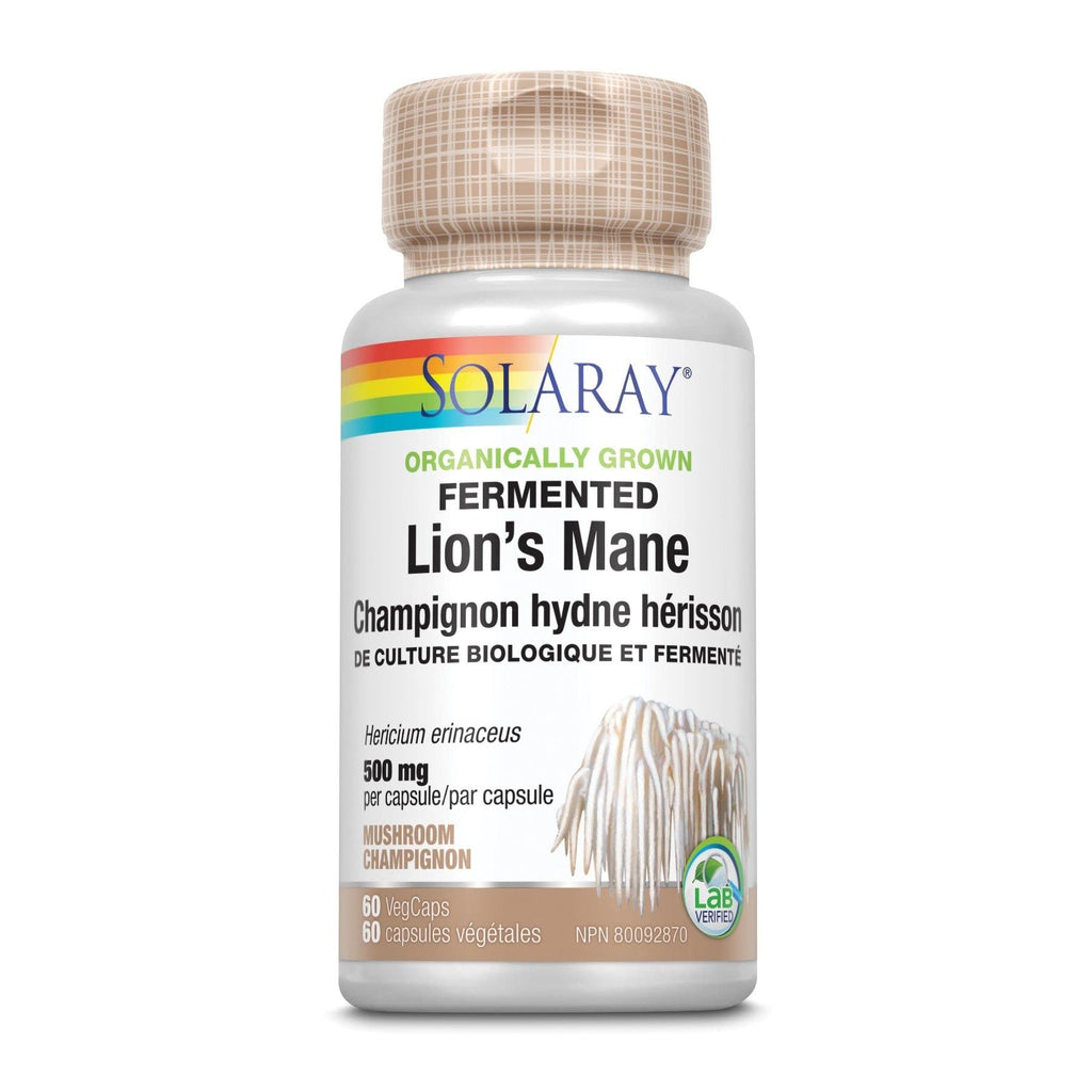 nutrient-rich lion's mane mushrooms