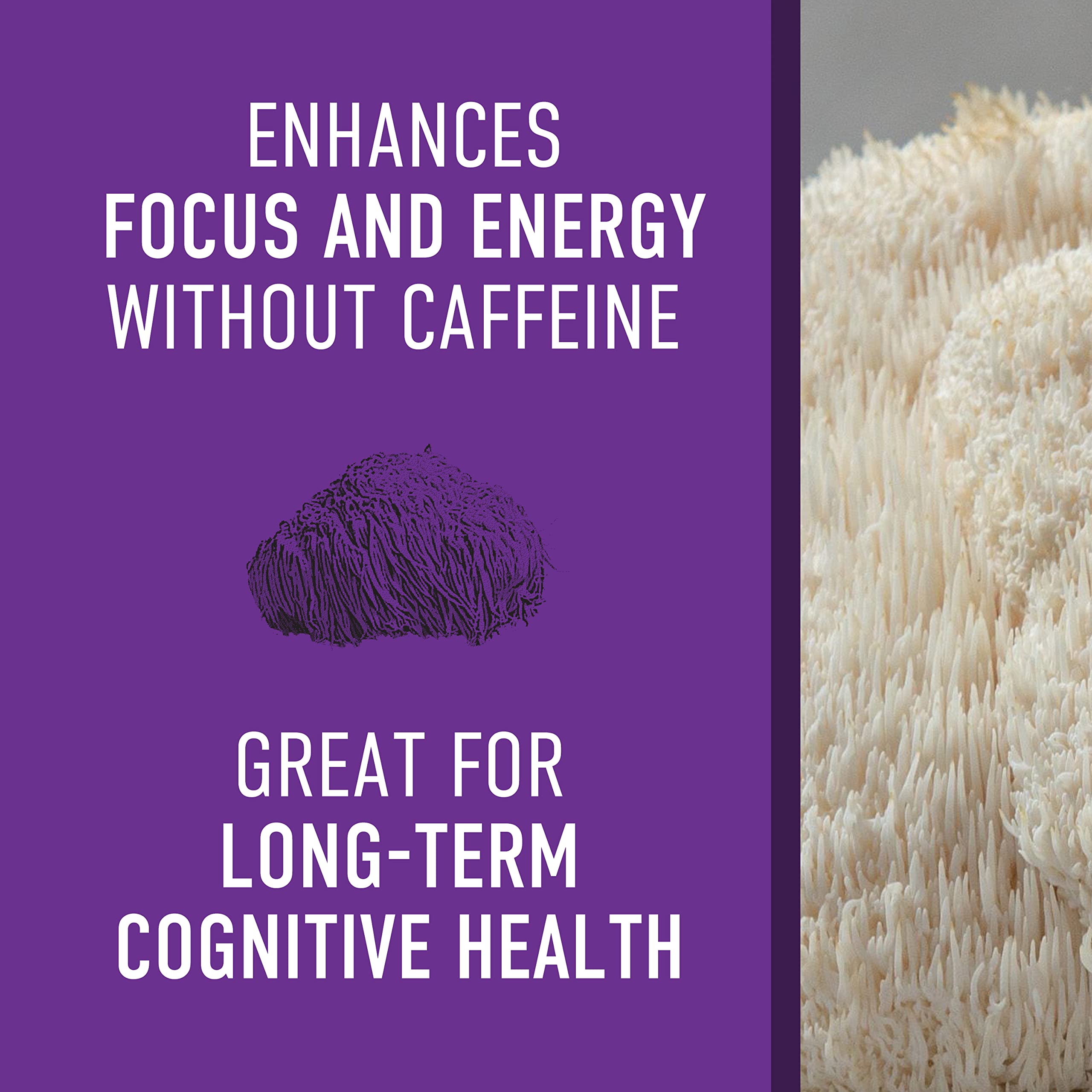 Nutrient-rich lion's mane powder