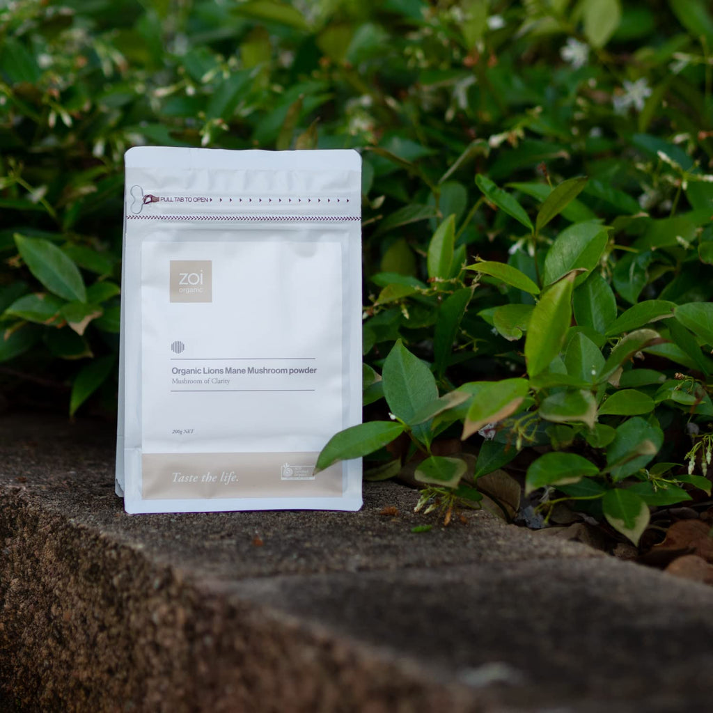 nutrient-rich lion's mane powder