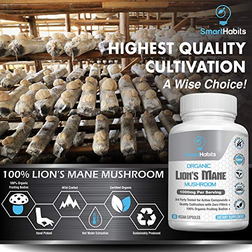 nutrient-rich lions mane mushroom extract