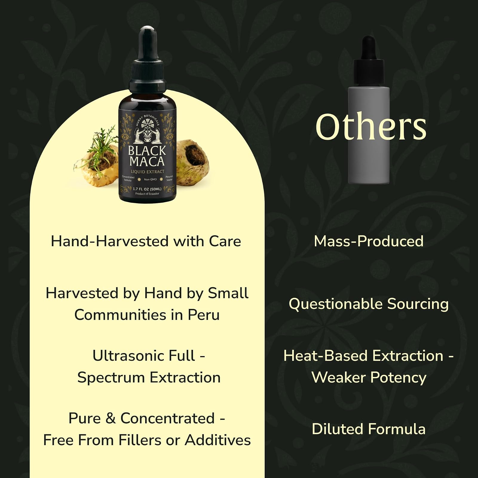 Nutrient-rich maca extract for endurance