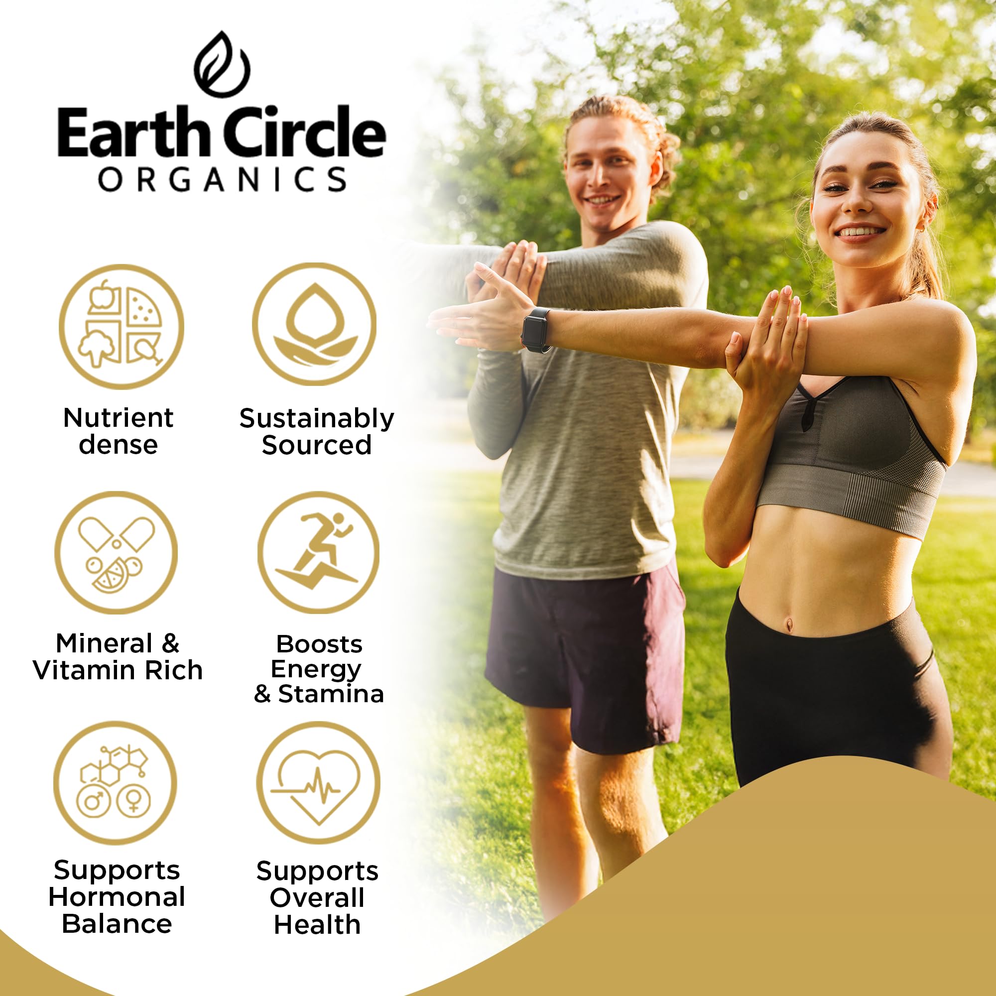 Nutrient-rich maca powder benefits