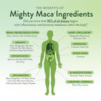 Nutrient-rich maca powder for energy