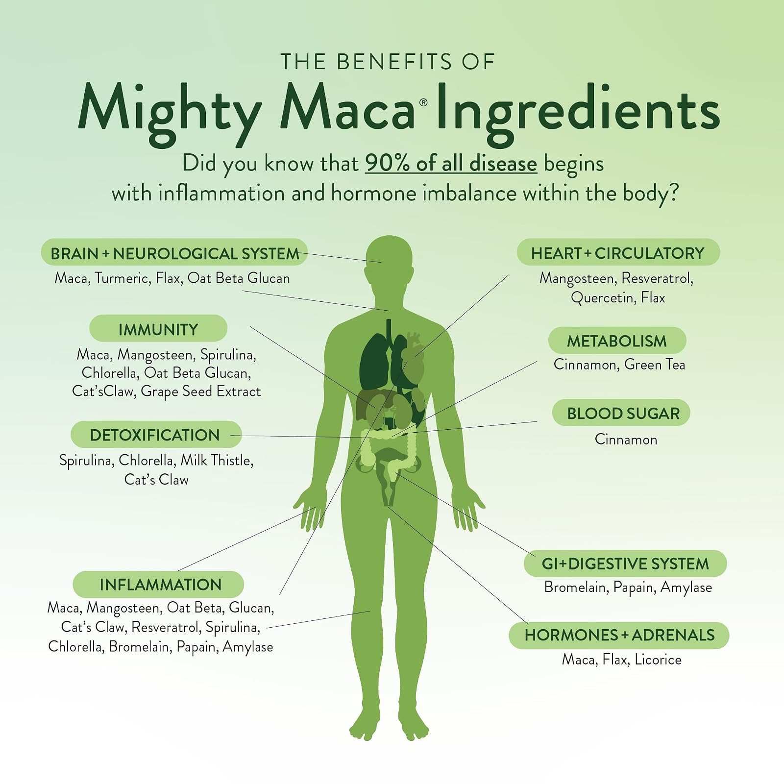 Nutrient-rich maca powder for energy