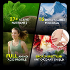 Nutrient-rich moringa for vitality