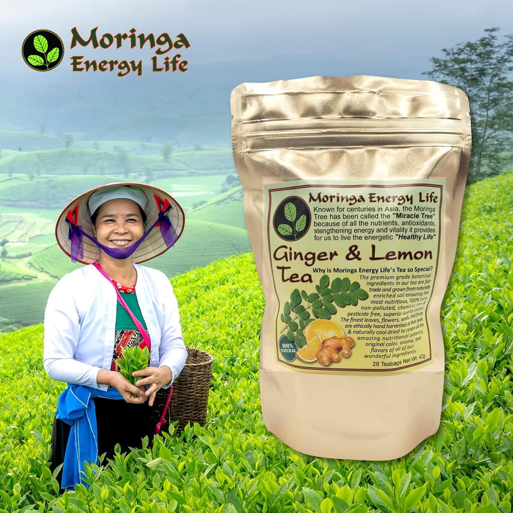 Nutrient-rich moringa ginger tea infusion