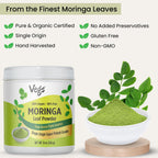 Nutrient-rich Moringa leaf supplement