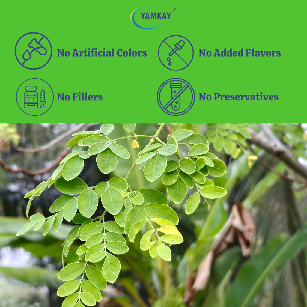 Nutrient-rich Moringa powder for wellness