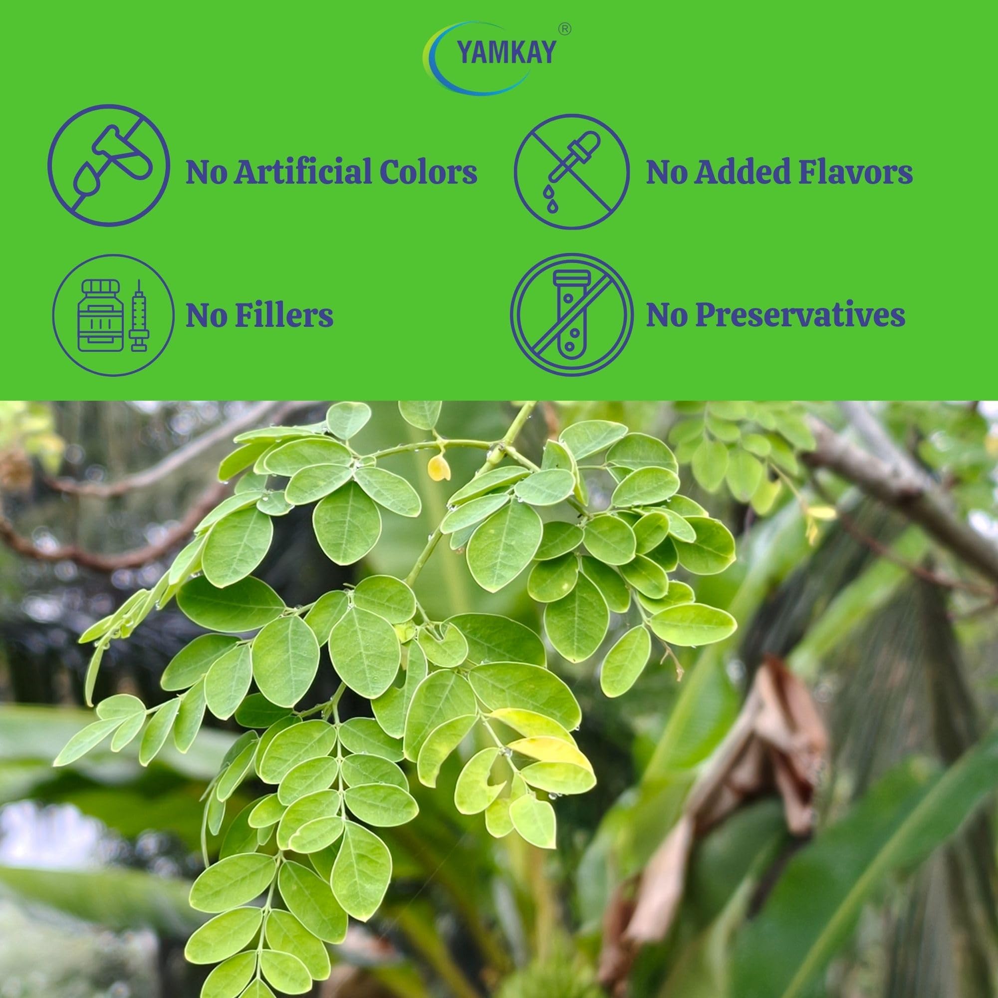 Nutrient-rich Moringa powder for wellness