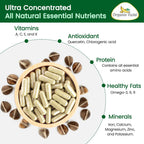 nutrient-rich moringa seed supplement