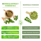 Nutrient-rich moringa supplement capsules