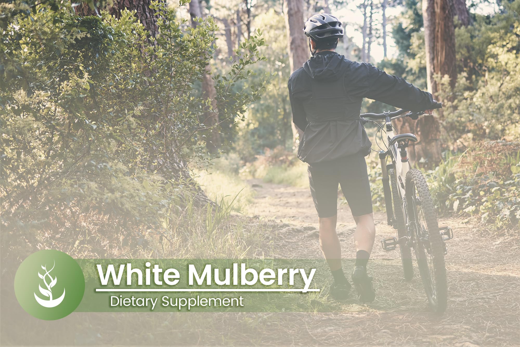 nutrient-rich mulberry leaf extract