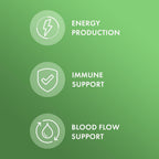 nutrient-rich multivitamin for men