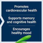 nutrient-rich multivitamin for seniors