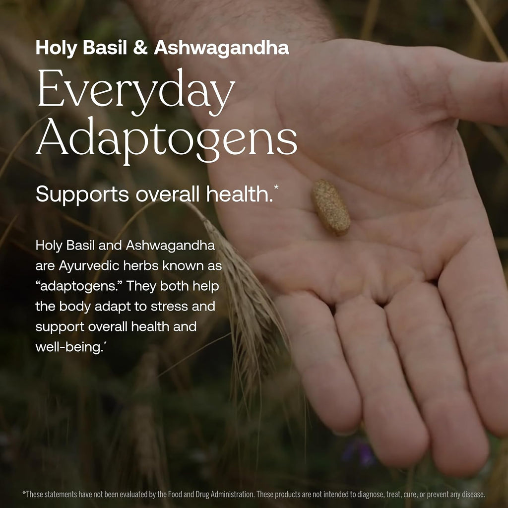 nutrient-rich multivitamin for vitality