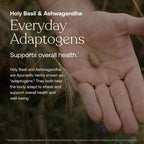 nutrient-rich multivitamin for vitality
