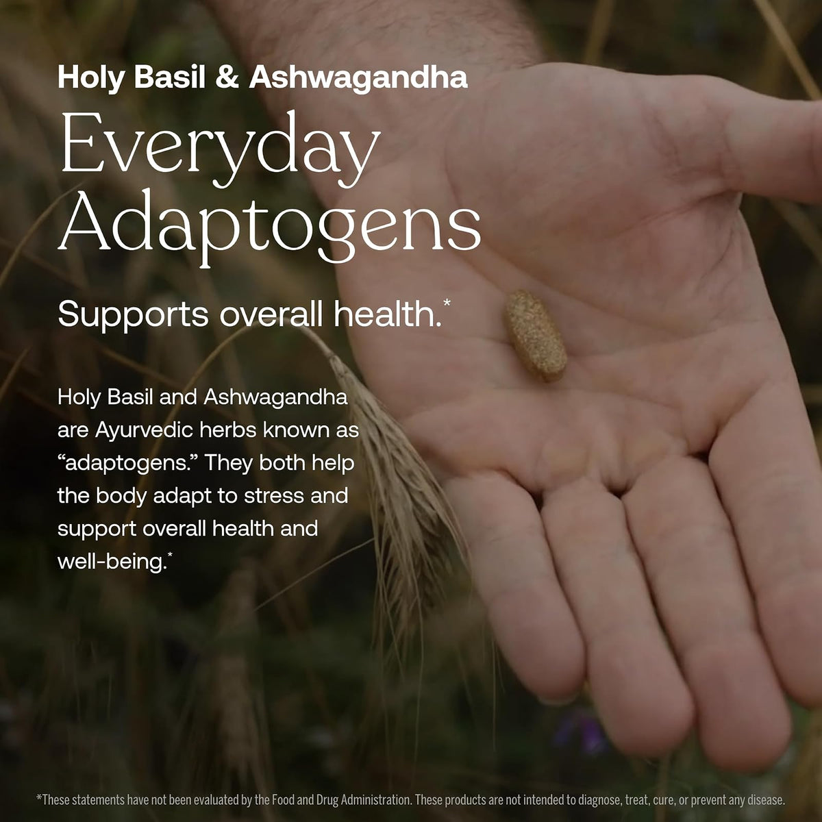 nutrient-rich multivitamin for vitality