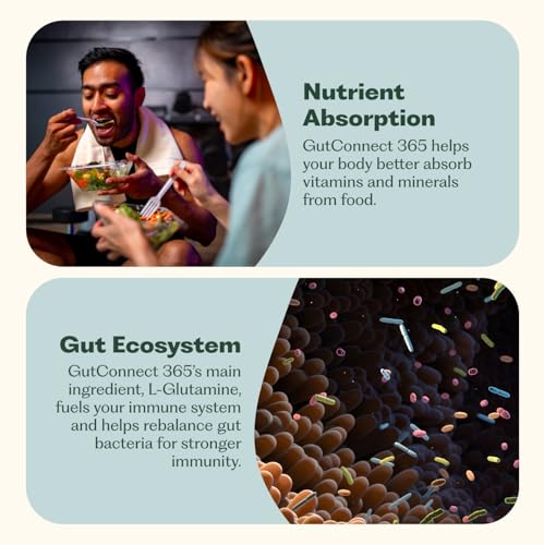 nutrient-rich multivitamin for women