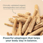 nutrient-rich multivitamin for women