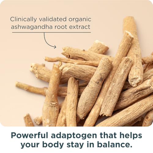 nutrient-rich multivitamin for women