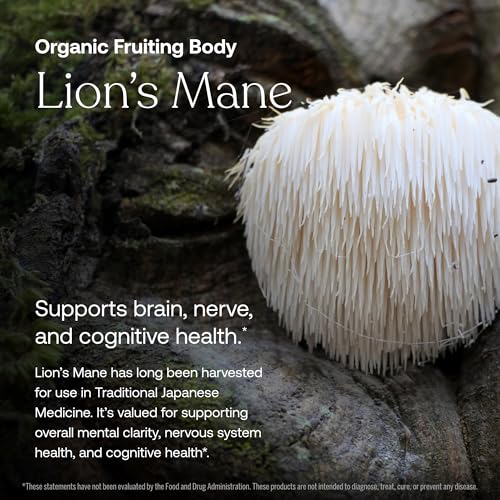 nutrient-rich multivitamin for women