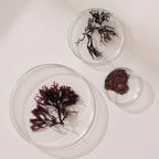 nutrient-rich multivitamins for adults
