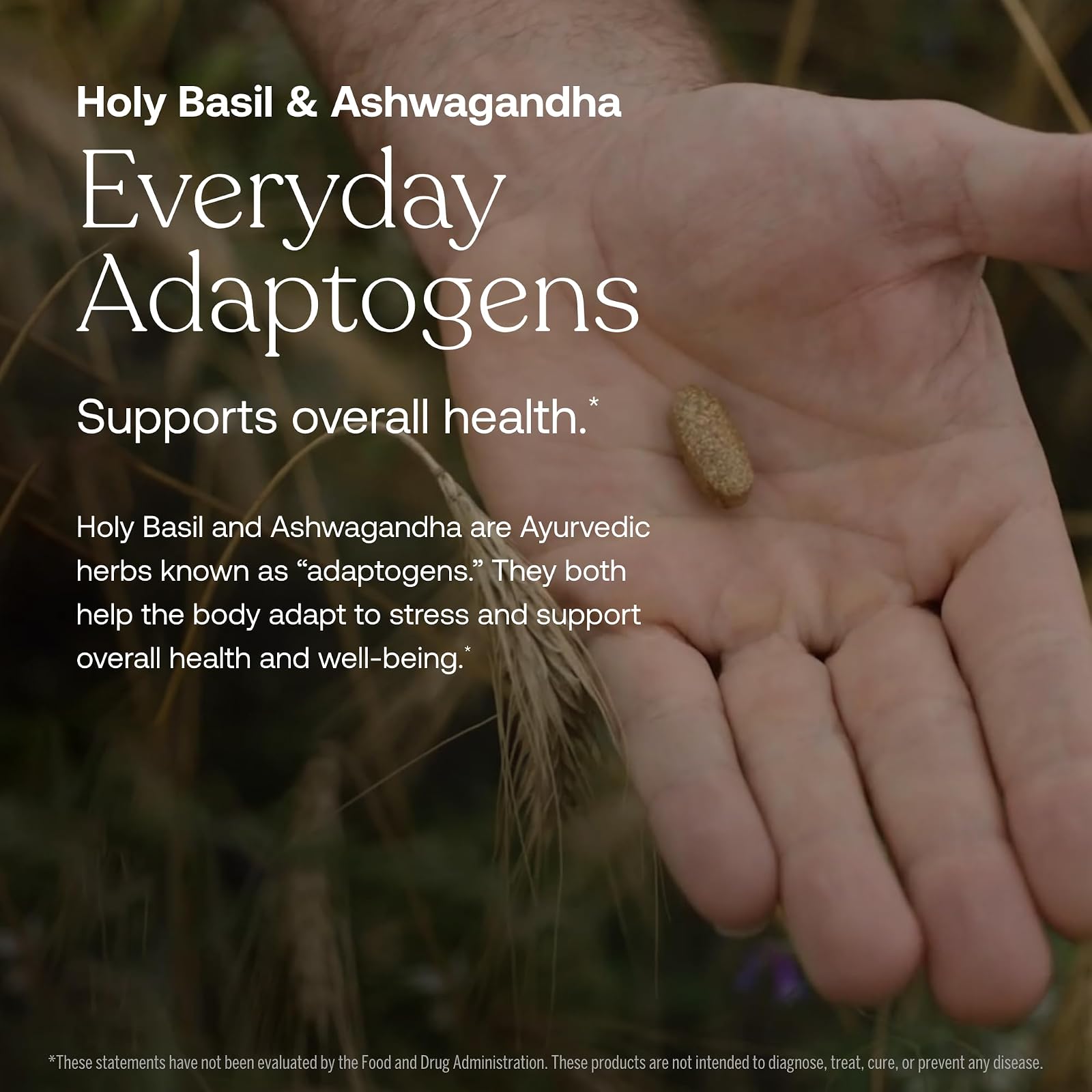 nutrient-rich multivitamins for men