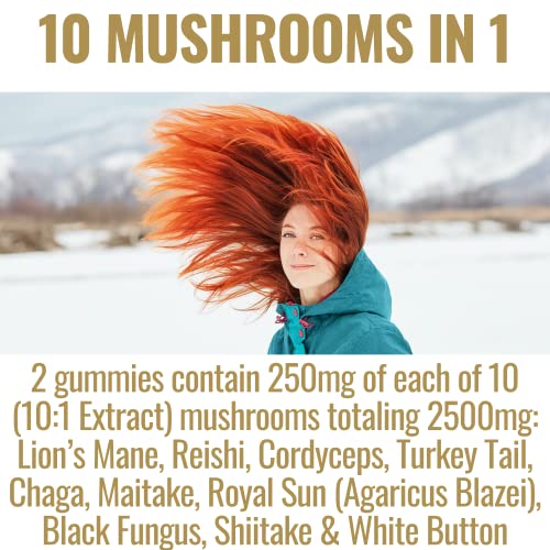 nutrient-rich mushroom blend for immunity