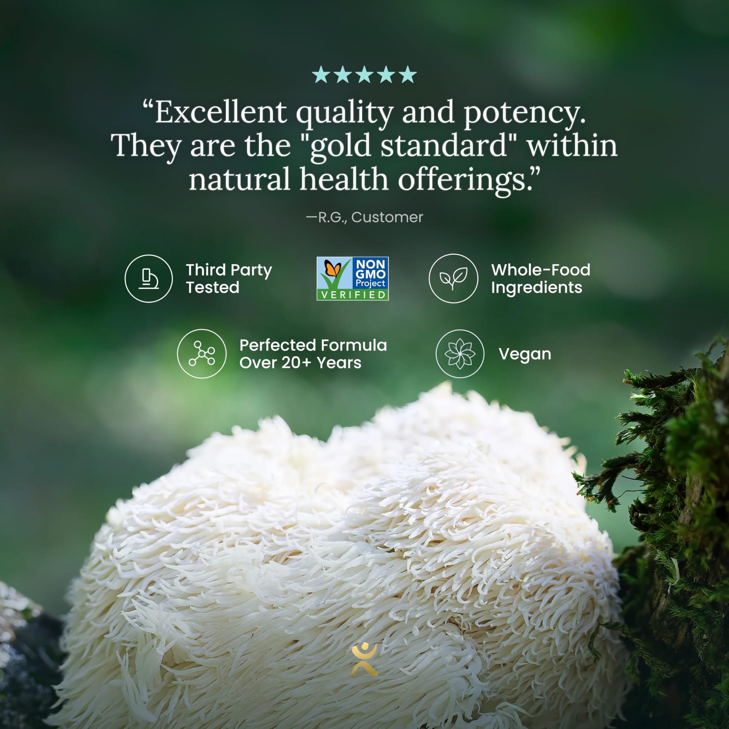 nutrient-rich mushroom blend