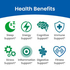 nutrient-rich mushroom blends for vitality