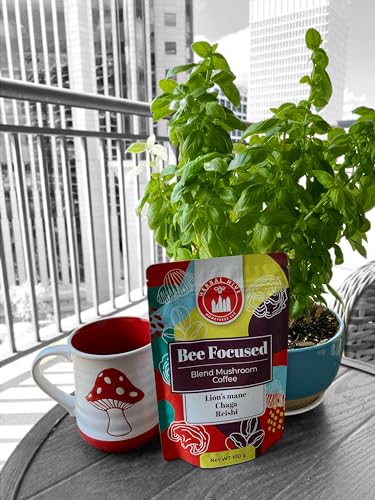 nutrient-rich mushroom coffee alternative