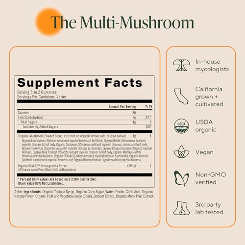 nutrient-rich mushroom complex gummies