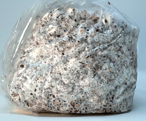 nutrient-rich mushroom cultivation bags