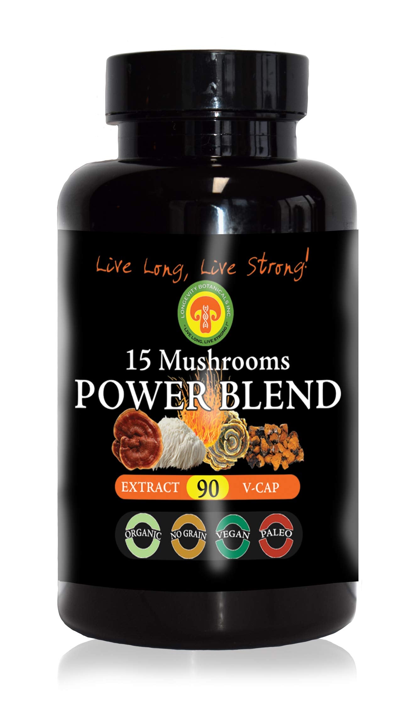 nutrient-rich mushroom extract powder