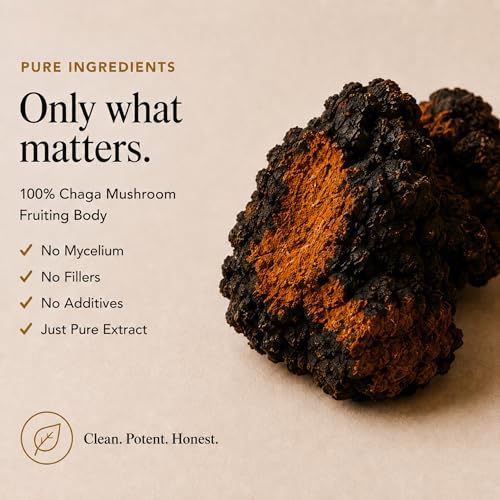 Nutrient-rich mushroom extract powder